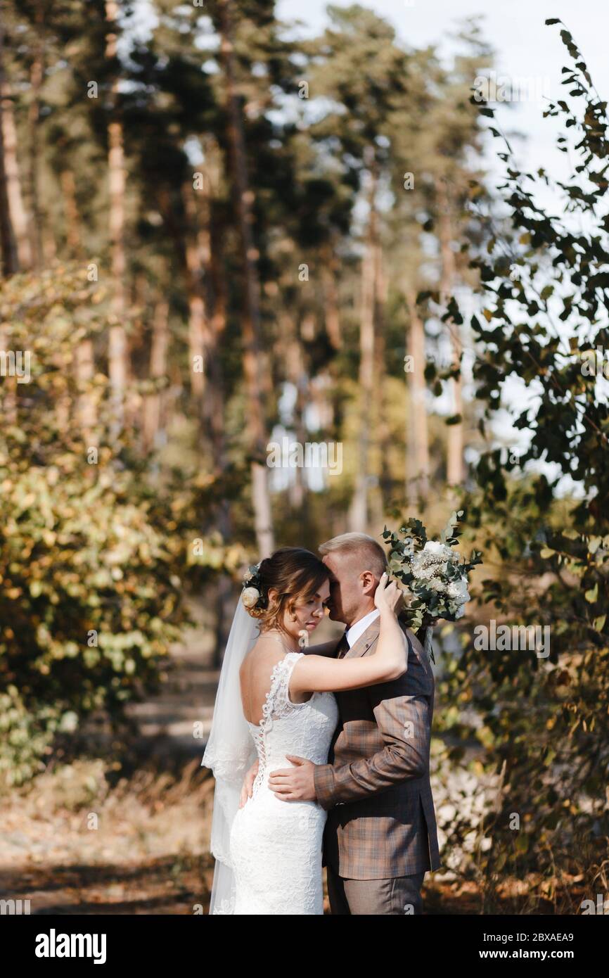 Braut und Bräutigam umarmen sich im Hintergrund der Bäume im Wald ...