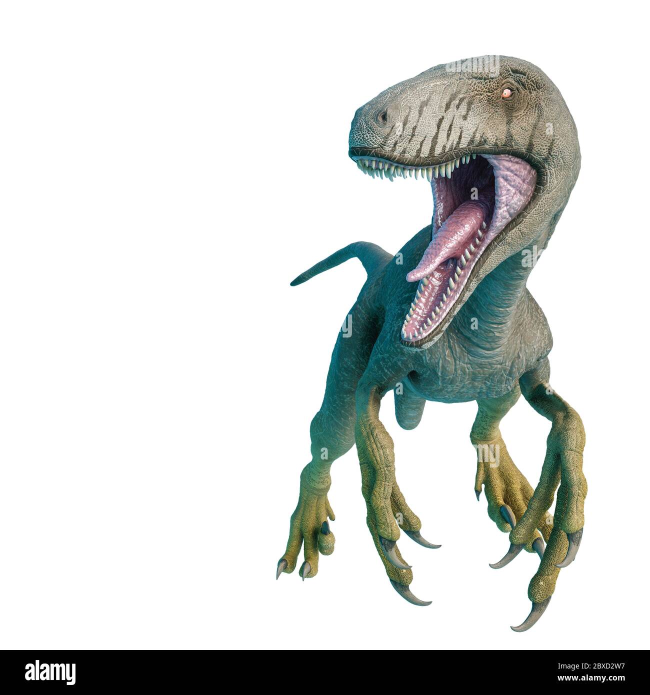 Dakota raptor -Fotos und -Bildmaterial in hoher Auflösung – Alamy