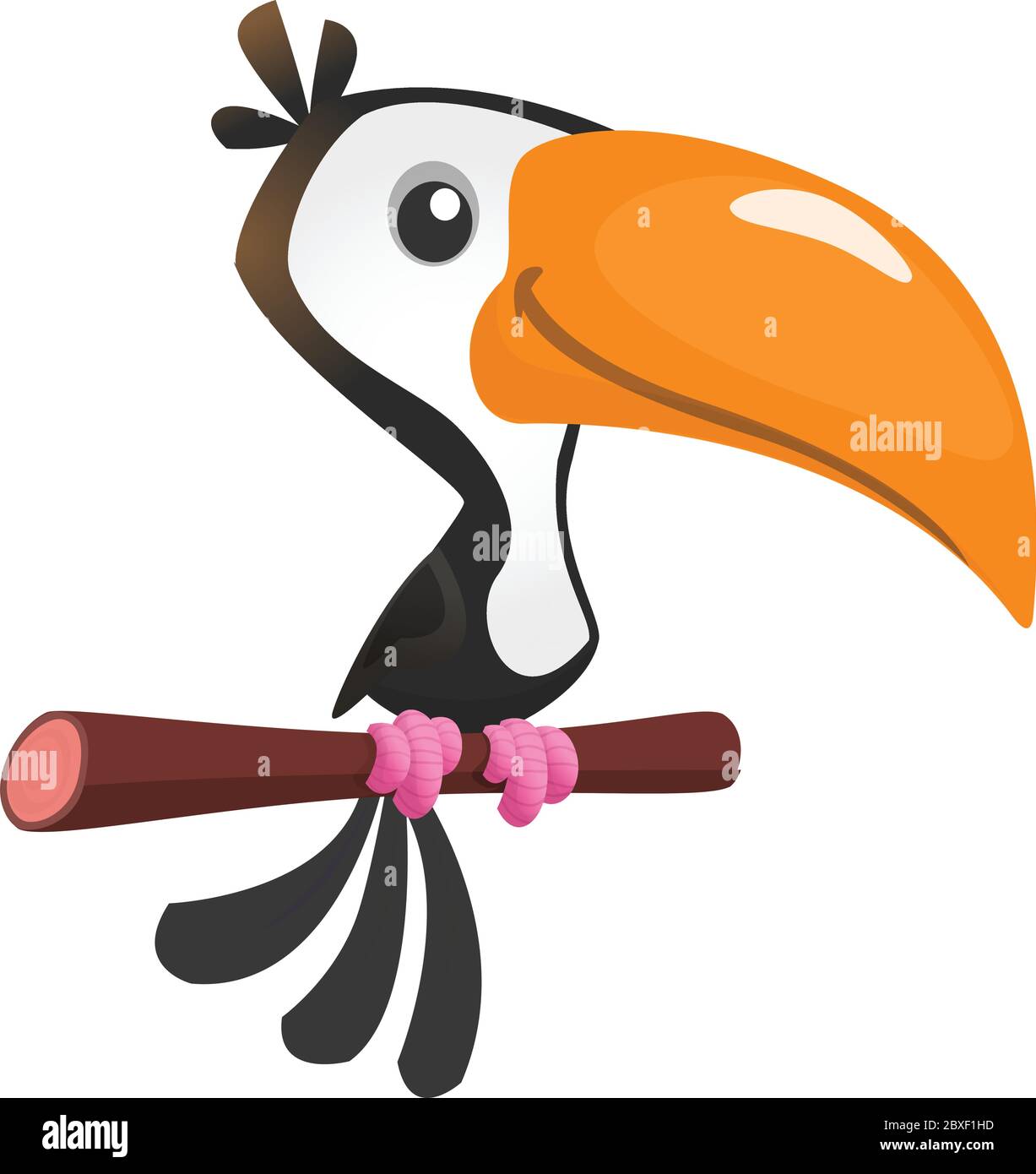 Tukan cartoon -Fotos und -Bildmaterial in hoher Auflösung – Alamy