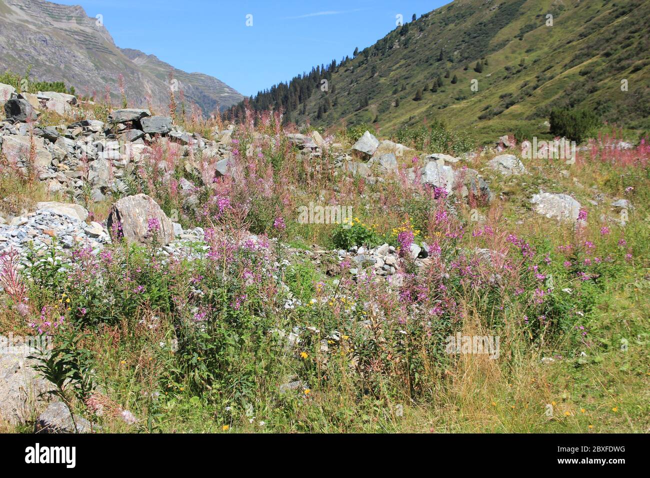 Silvretta pass -Fotos und -Bildmaterial in hoher Auflösung – Alamy