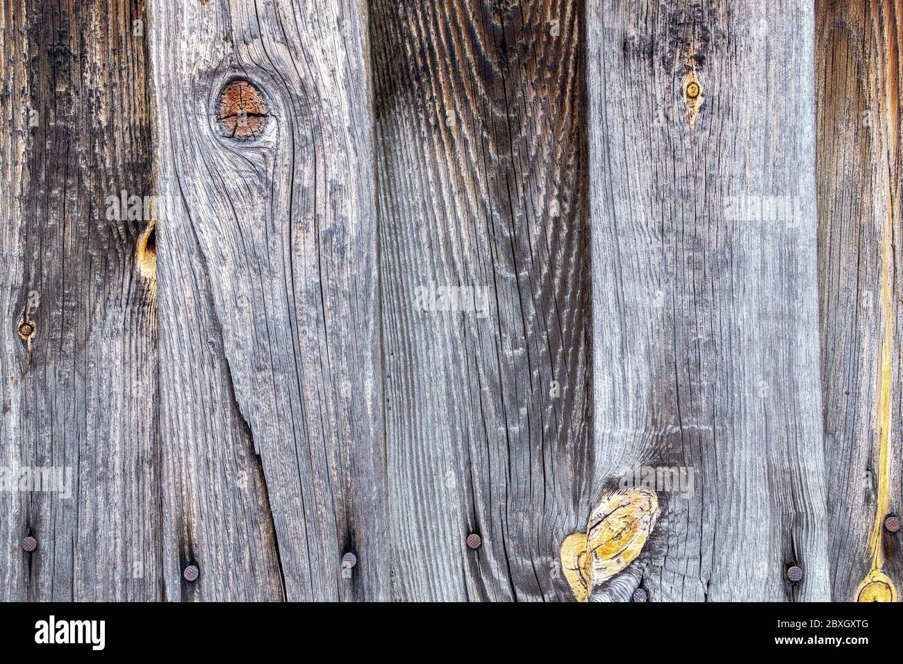 Hintergrundoberfläche mit Holztextur und alter, natürlicher Holztextur ...