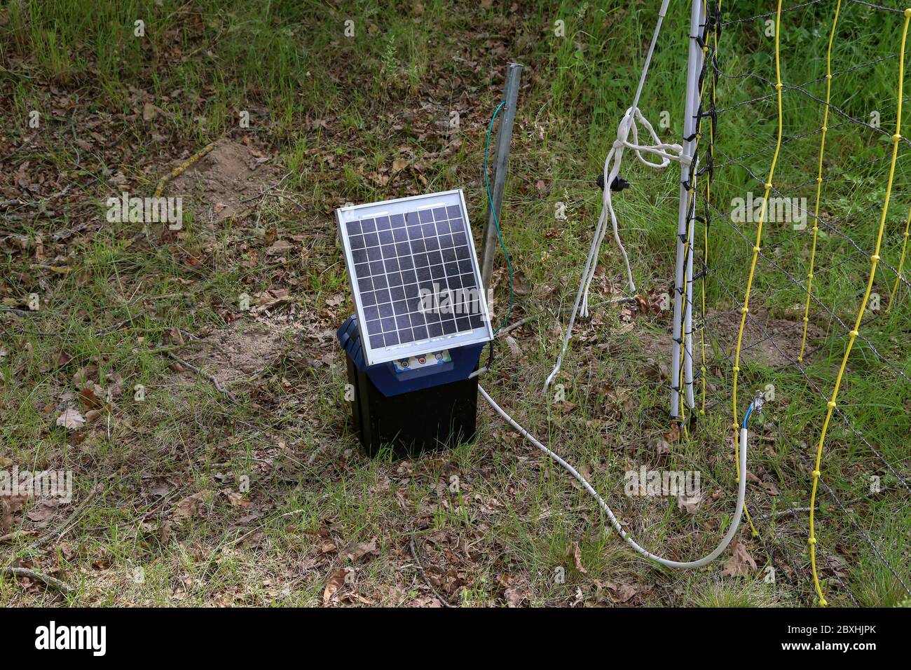 Angetriebene weide -Fotos und -Bildmaterial in hoher Auflösung – Alamy