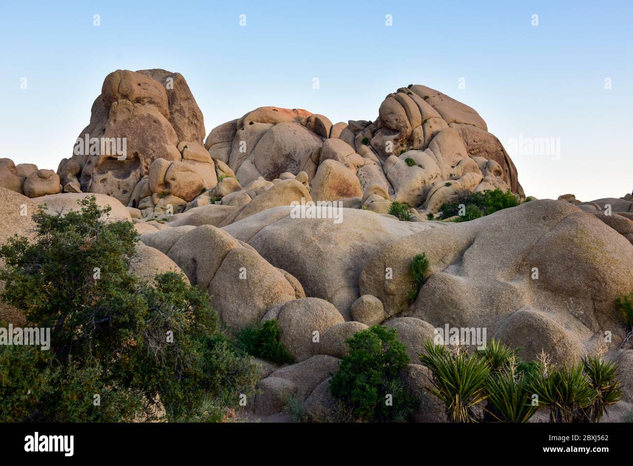 Joshua land -Fotos und -Bildmaterial in hoher Auflösung – Alamy