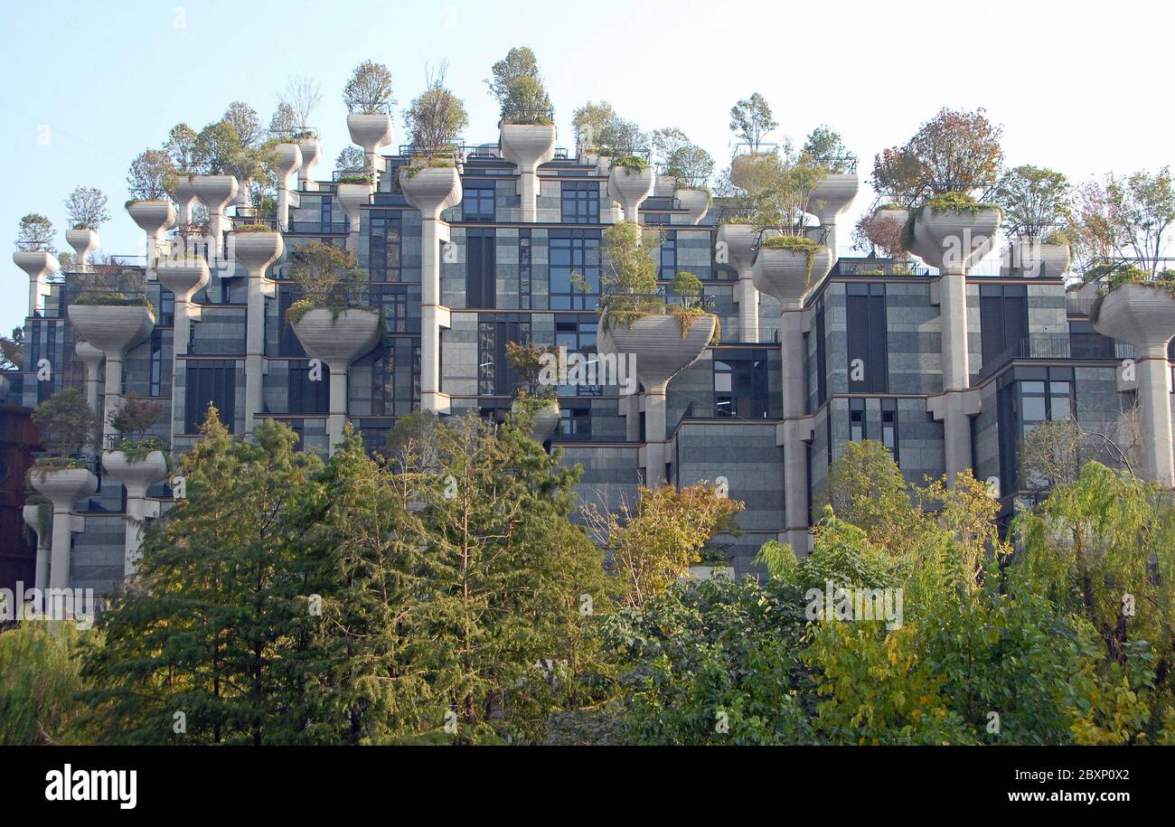 1000 trees shanghai -Fotos und -Bildmaterial in hoher Auflösung – Alamy