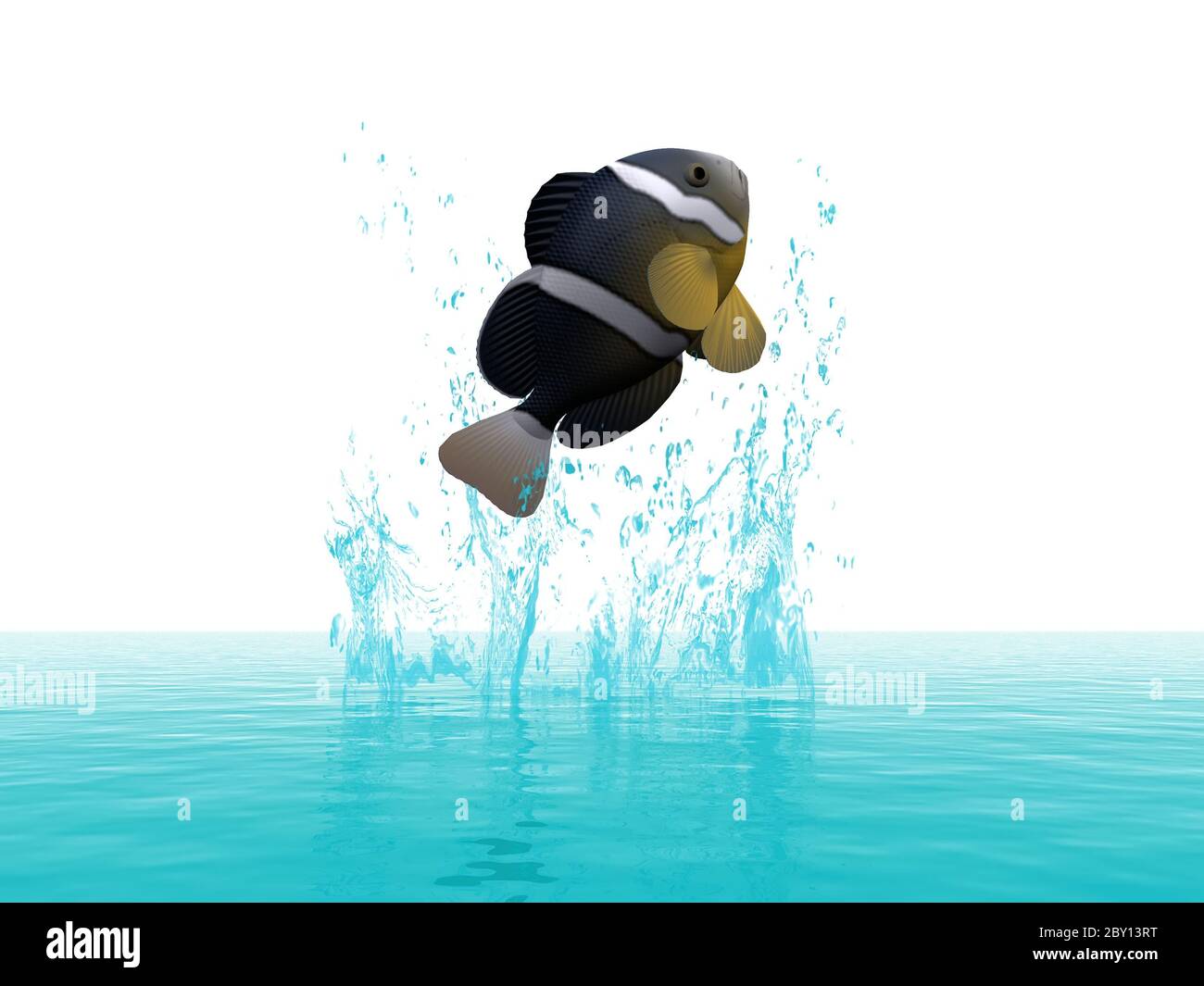 Fisch aus dem wasser -Fotos und -Bildmaterial in hoher Auflösung – Alamy