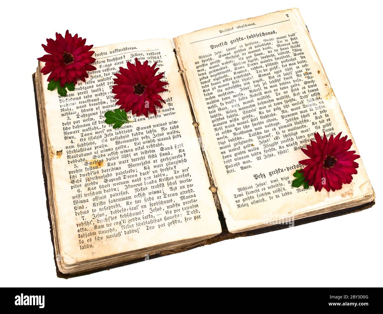 Buch Der Blumen Stockfotos und -bilder Kaufen - Alamy