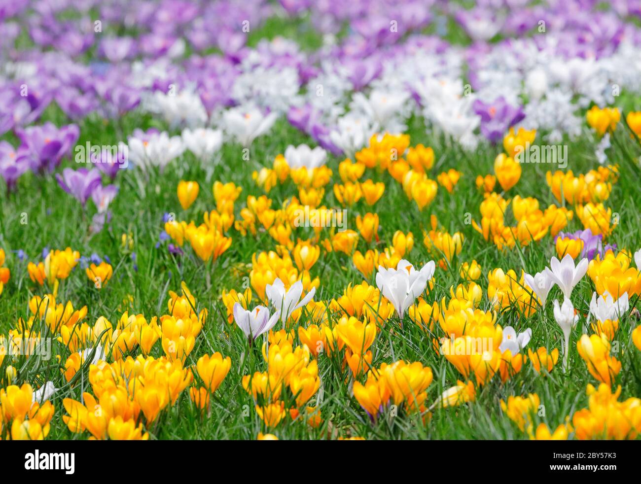 Frühling in der schweiz -Fotos und -Bildmaterial in hoher Auflösung – Alamy
