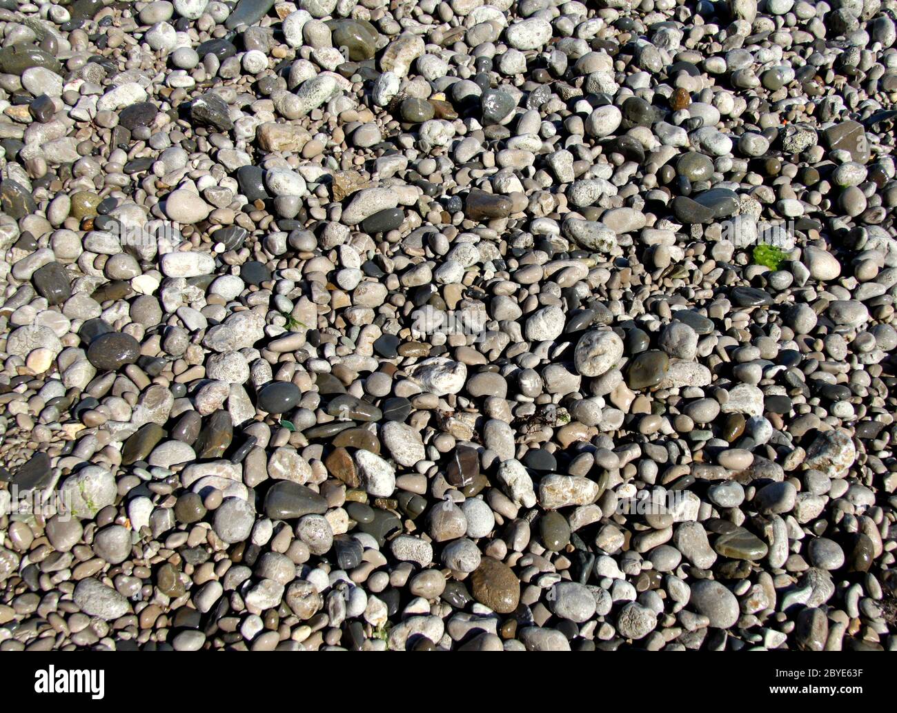 Pebbles texture -Fotos und -Bildmaterial in hoher Auflösung – Alamy