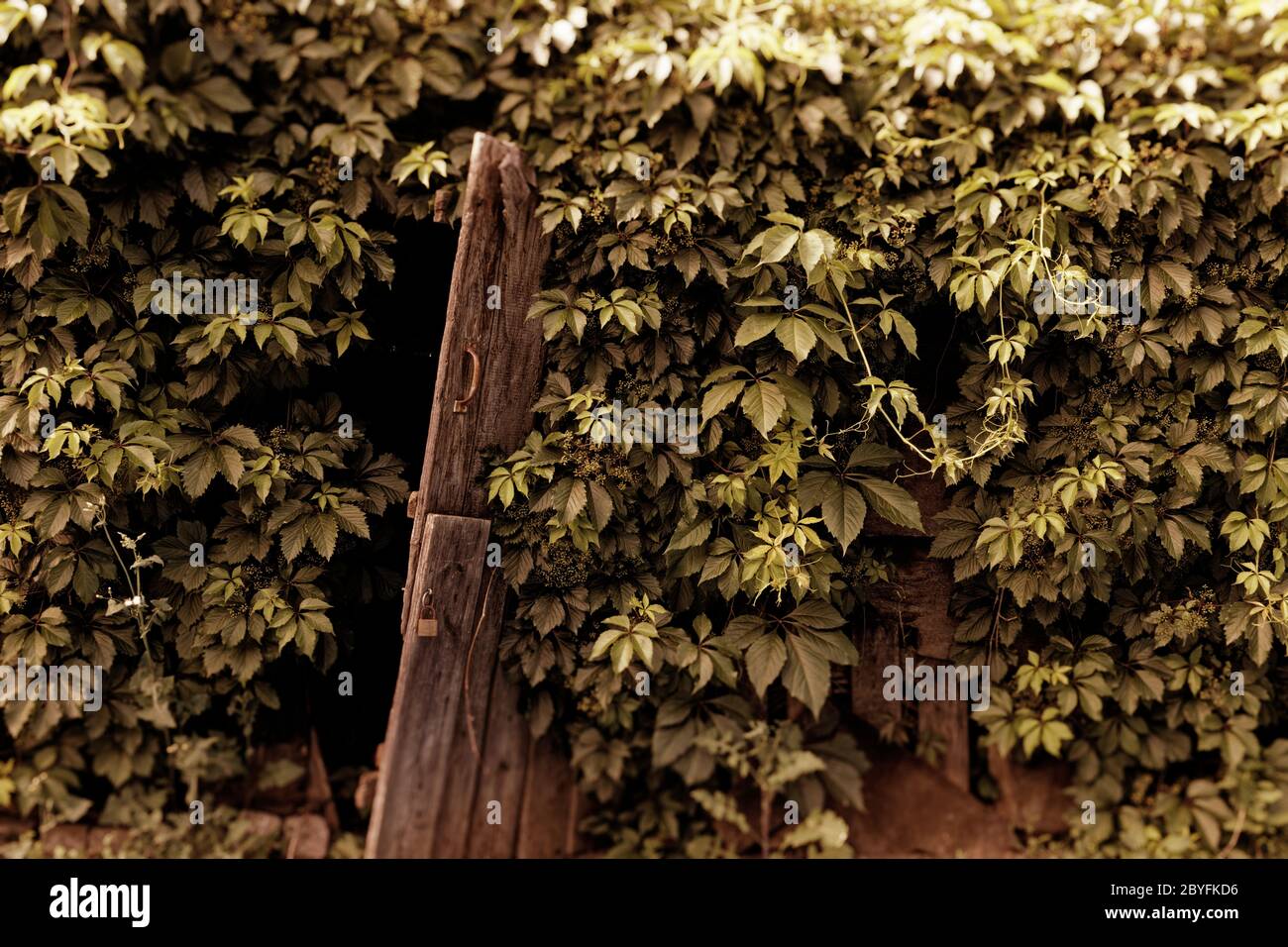 Geheime scheune -Fotos und -Bildmaterial in hoher Auflösung – Alamy