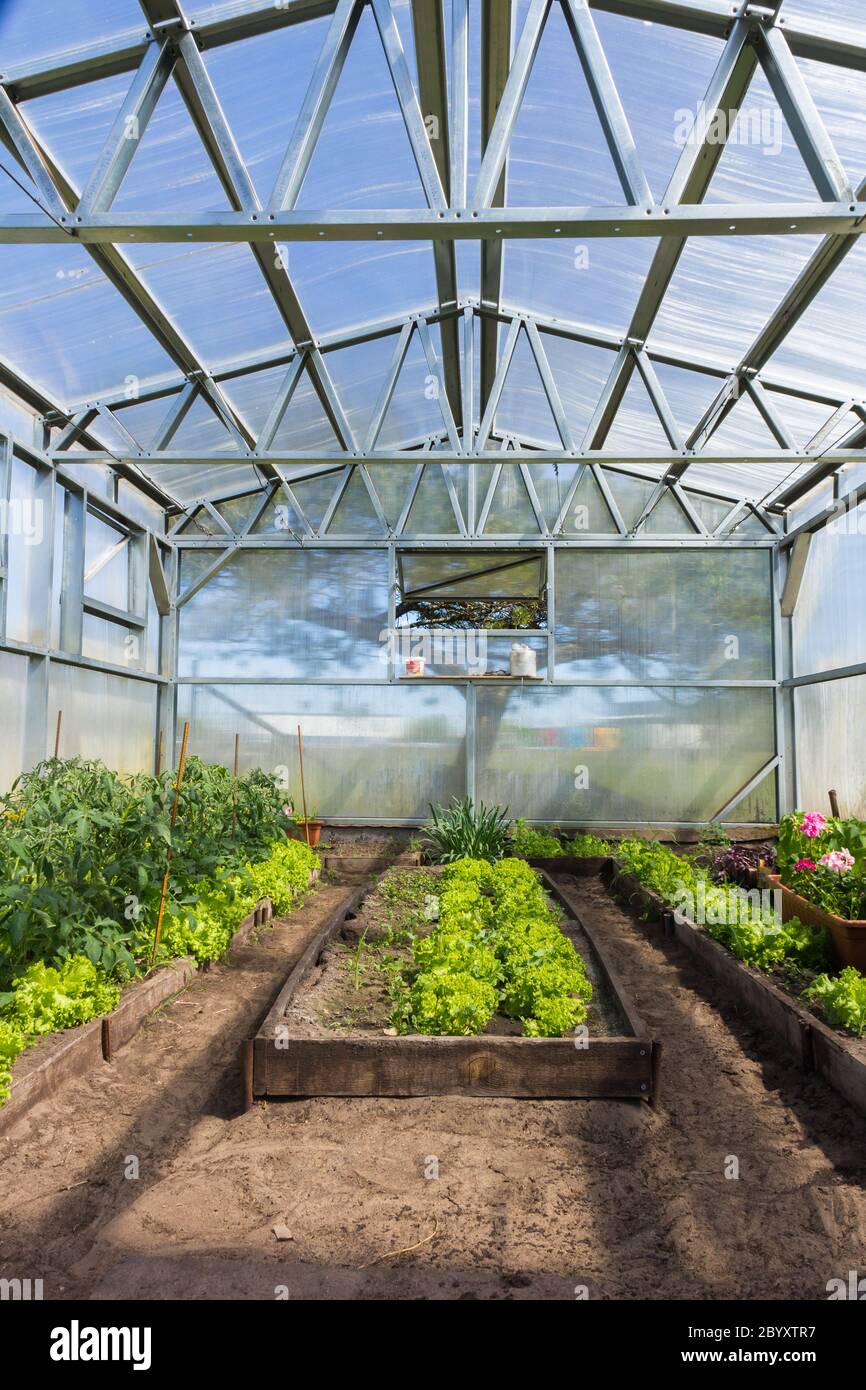 Faszinierend Tomaten Gewachshaus Klein Fotos