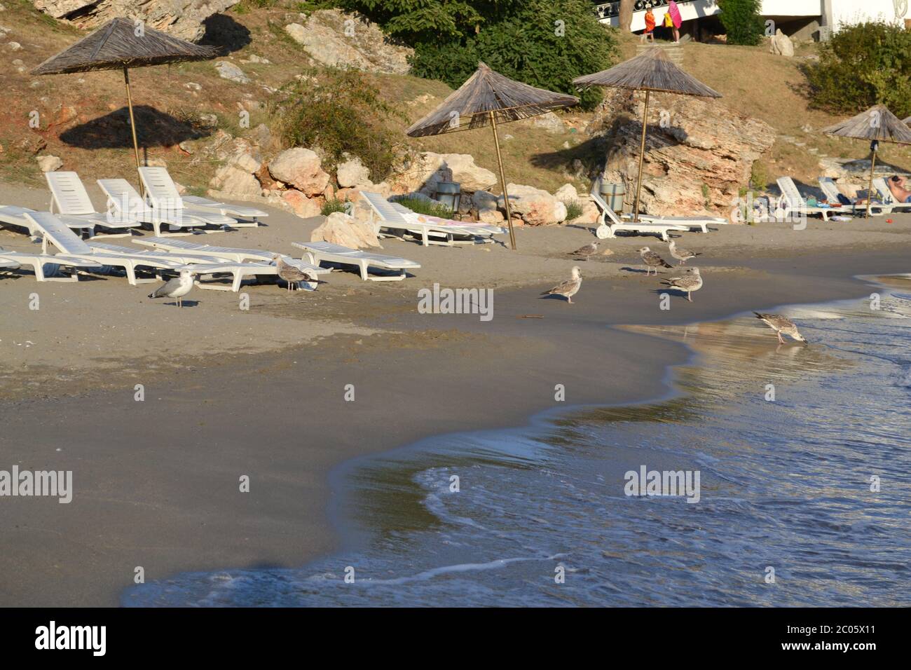Sonne auf sand am strand -Fotos und -Bildmaterial in hoher Auflösung ...