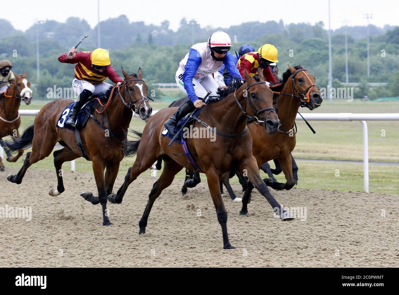 Josephine gordon rosa -Fotos und -Bildmaterial in hoher Auflösung – Alamy
