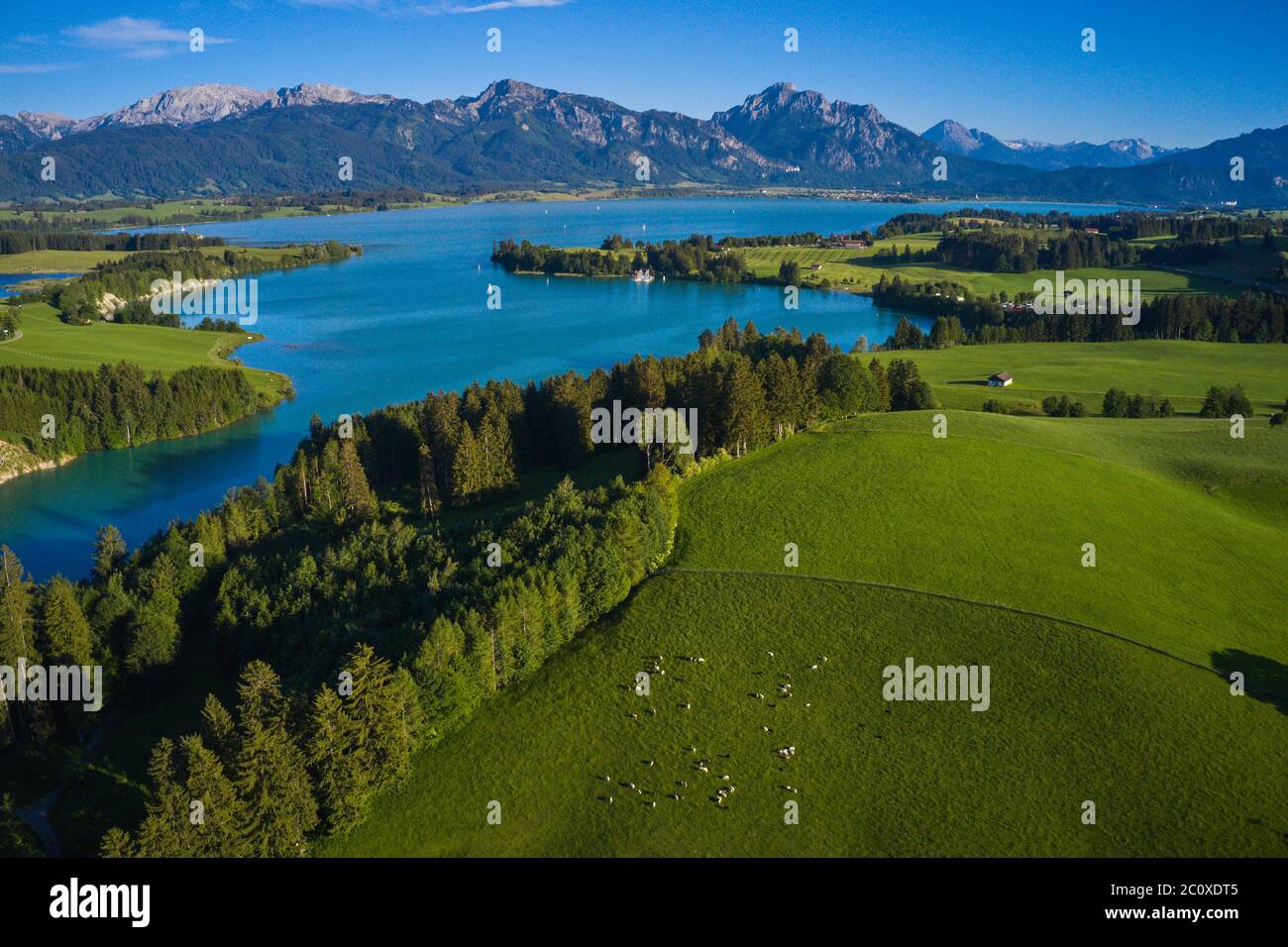 Füssen, 12. Juni 2020 Forggensee, ein kleiner See zum Entspannen ...