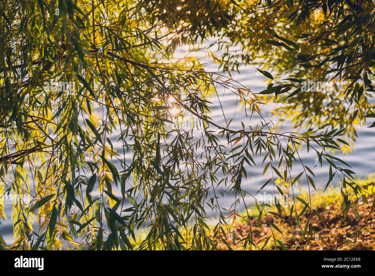 Teich fluss -Fotos und -Bildmaterial in hoher Auflösung – Alamy