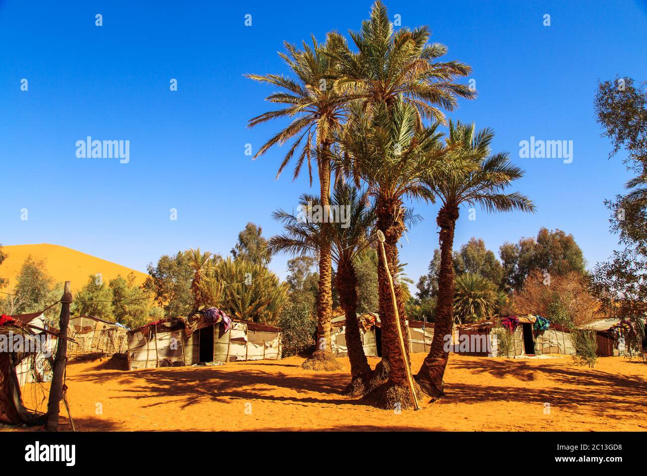 Sanddünen und Oase in der Sahara, Merzouga, Marokko Stockfotografie - Alamy