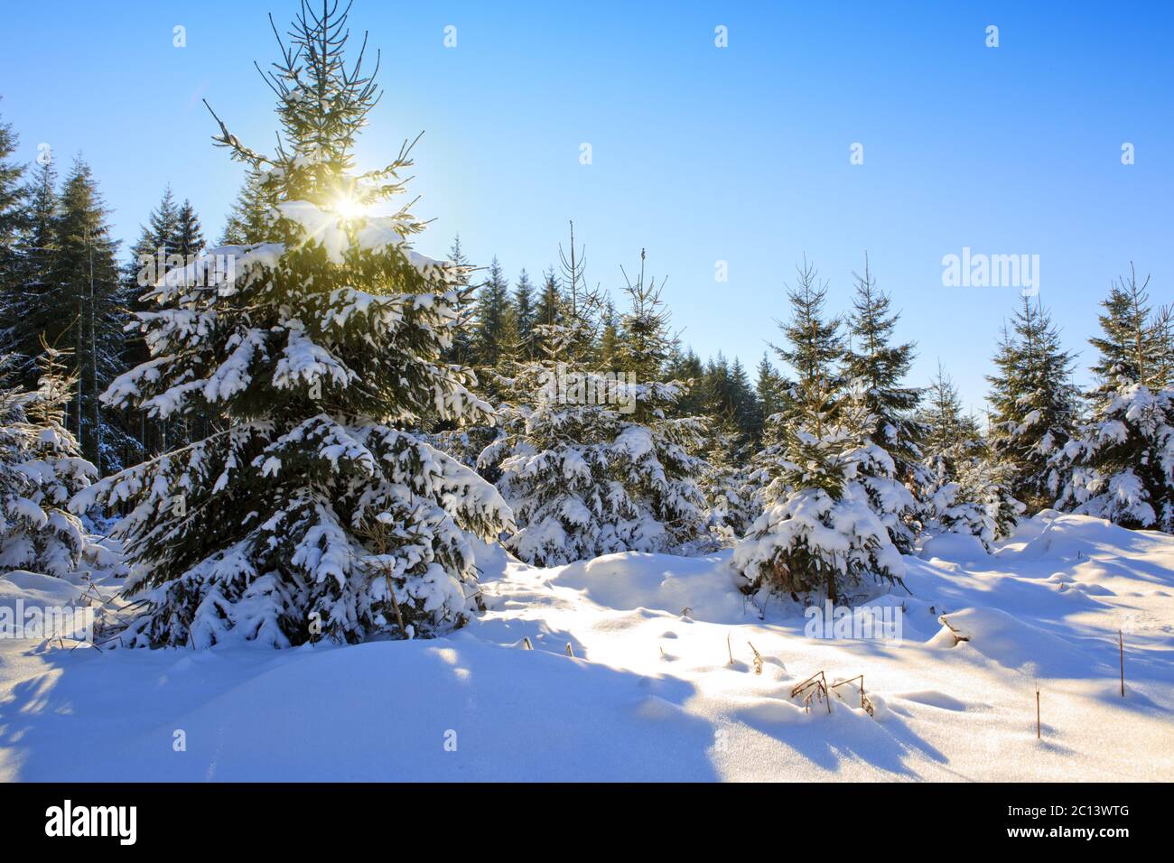 Sonne hinter dem wald -Fotos und -Bildmaterial in hoher Auflösung – Alamy