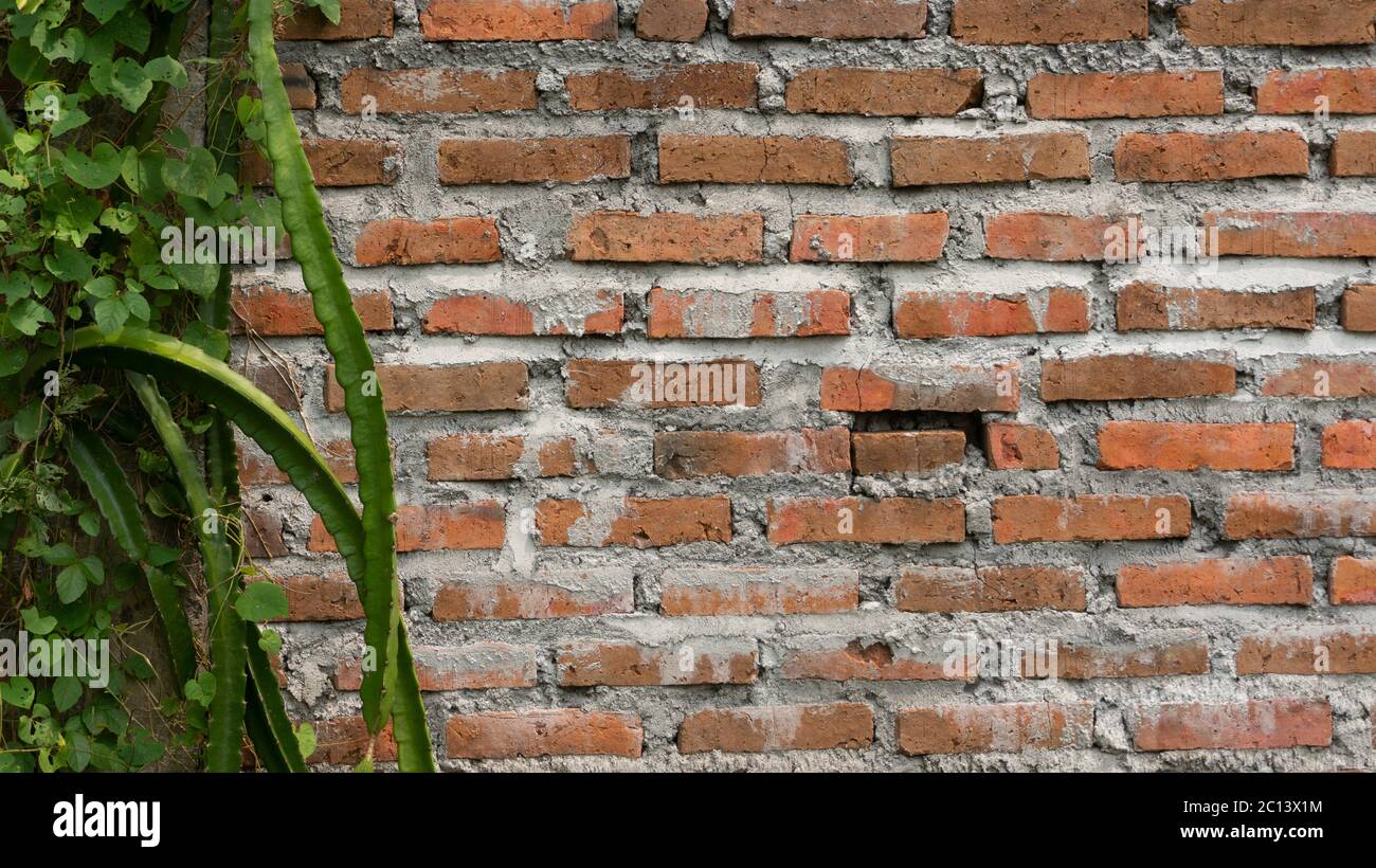 Solide Hintergrundbilder Stockfotos und -bilder Kaufen - Alamy