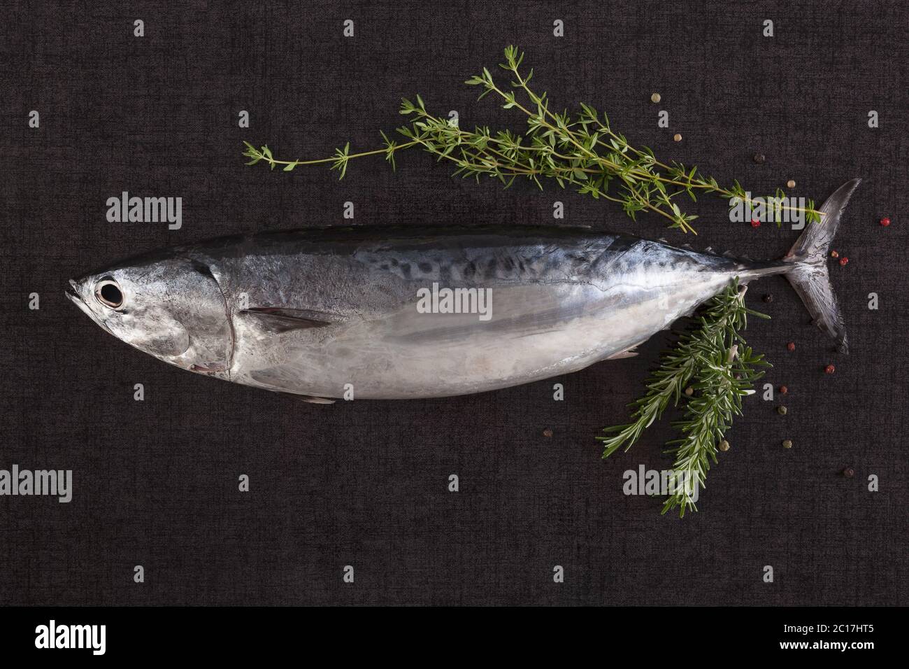 Fische von oben -Fotos und -Bildmaterial in hoher Auflösung – Alamy