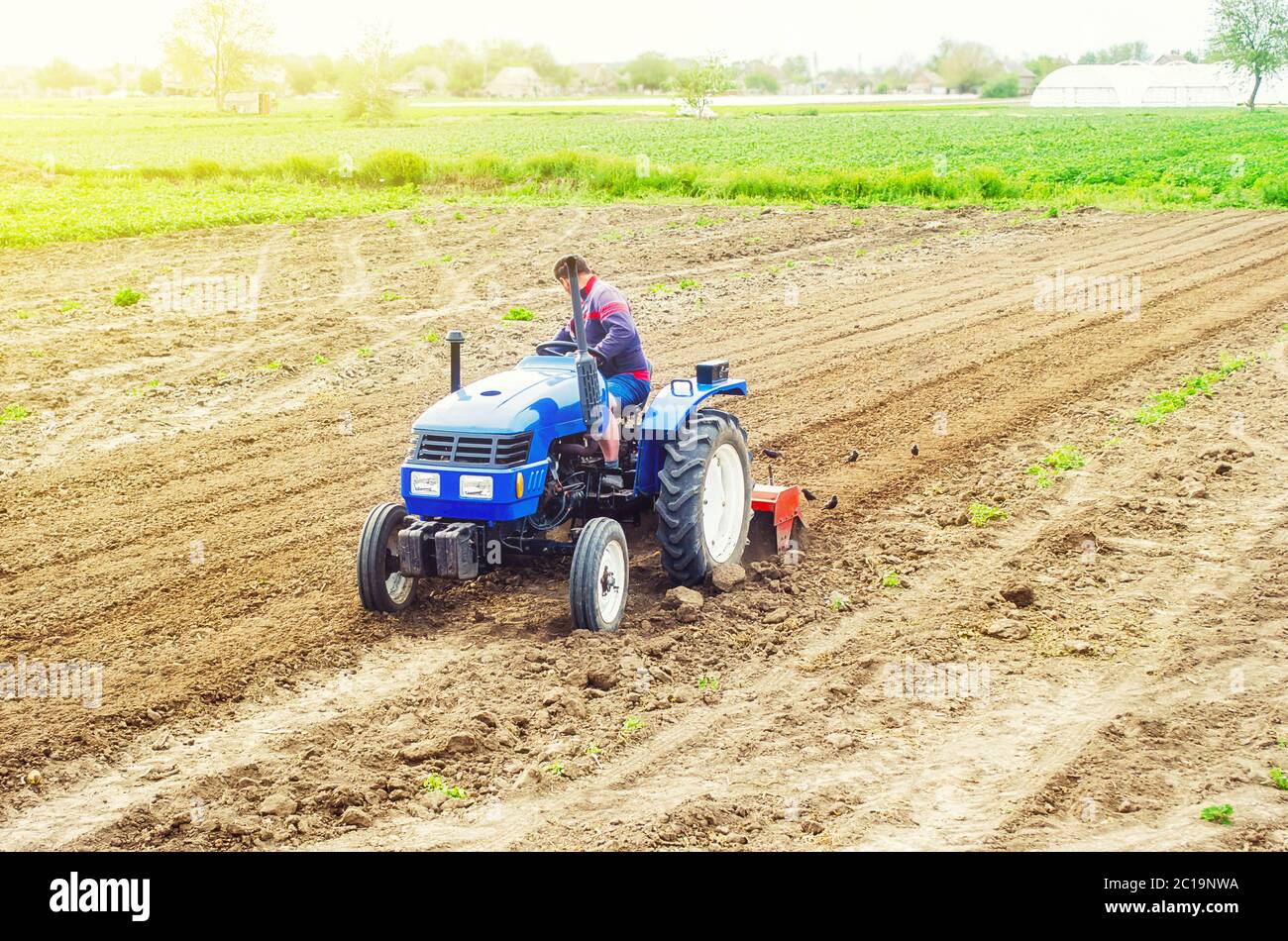 Ein Bauer auf einem Traktor bewirtschaftet ein Feld. Bodenfräsen ...