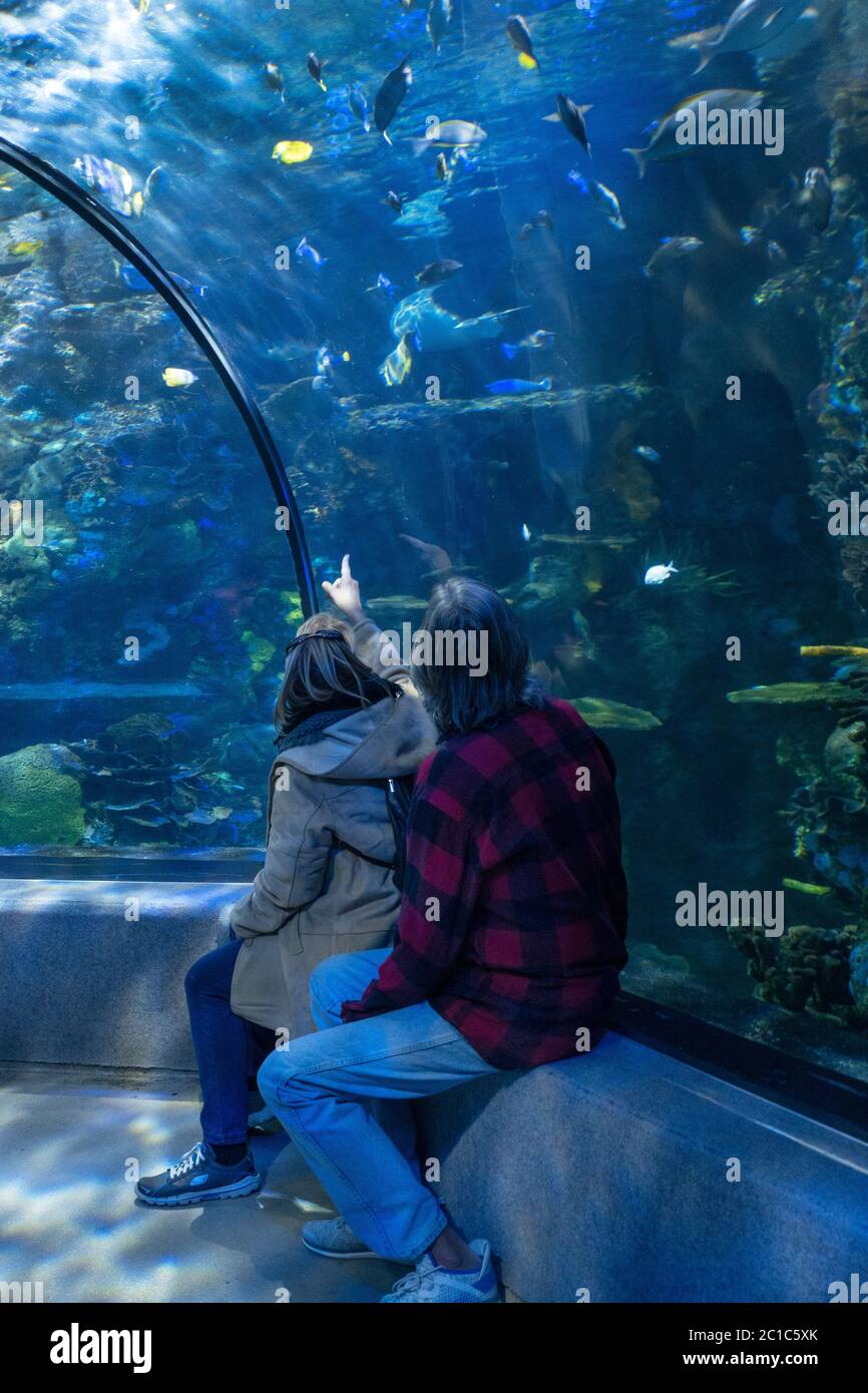 Virginia marine science museum -Fotos und -Bildmaterial in hoher ...