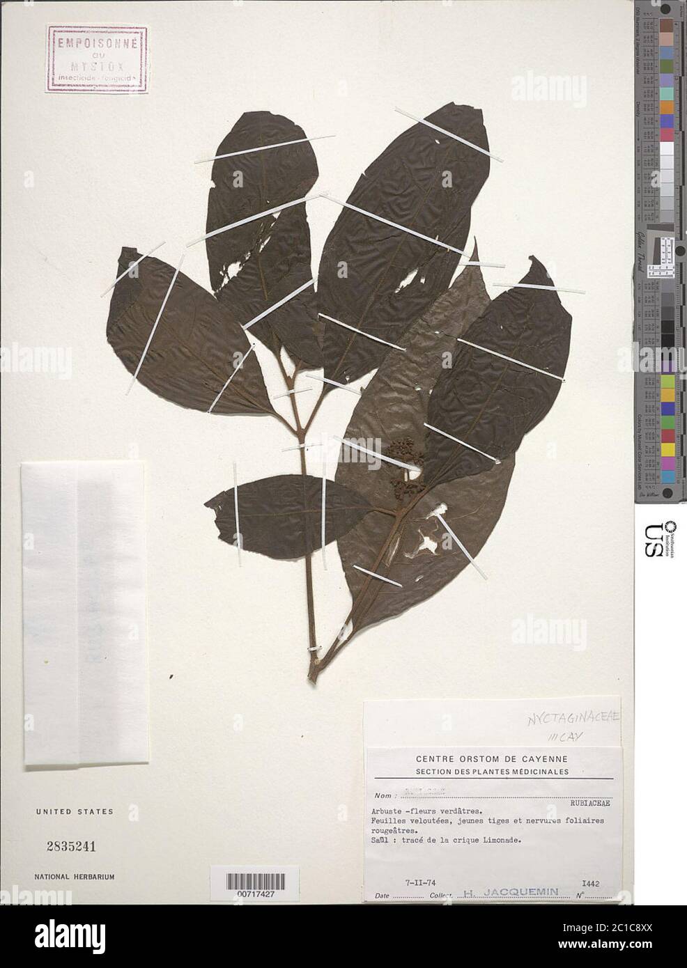 Ja schmidt -Fotos und -Bildmaterial in hoher Auflösung – Alamy