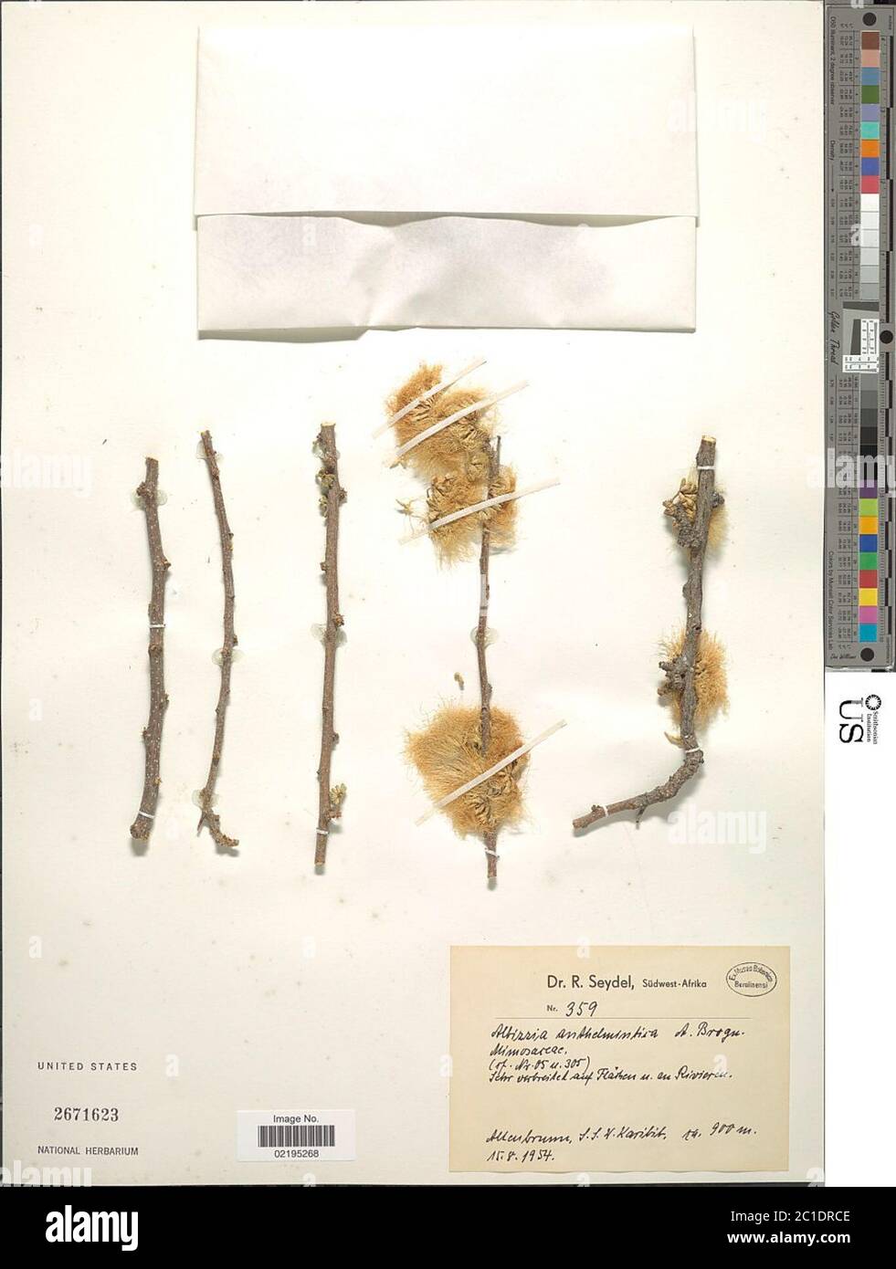 Anthelmintica -Fotos und -Bildmaterial in hoher Auflösung – Alamy