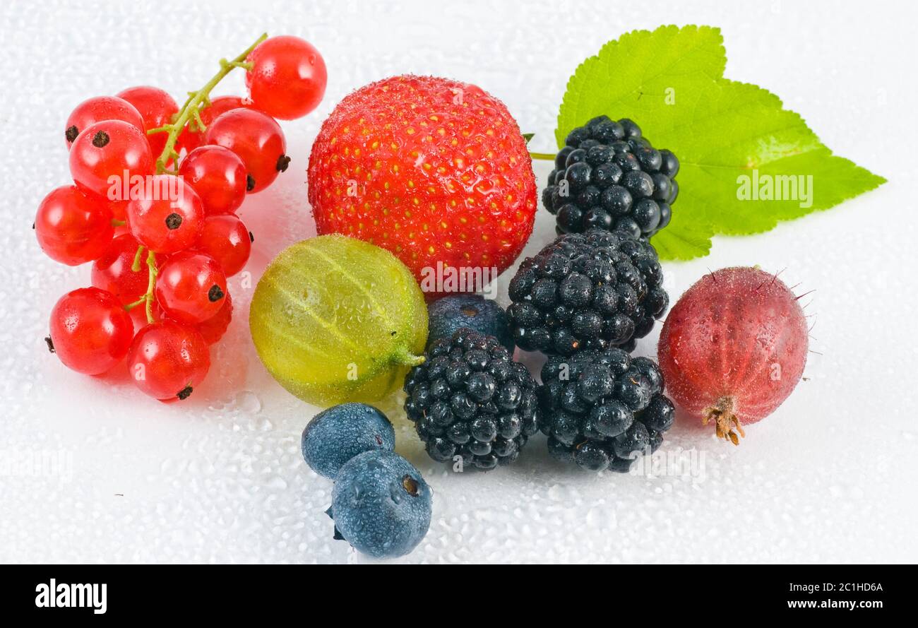 Blaue brombeere -Fotos und -Bildmaterial in hoher Auflösung – Alamy