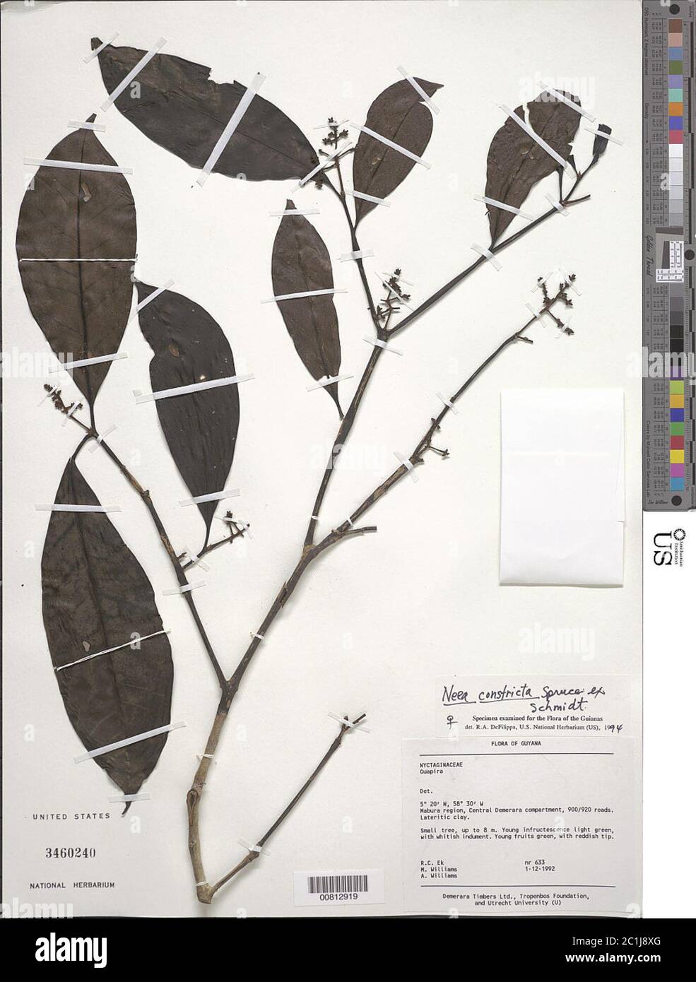 Ja schmidt -Fotos und -Bildmaterial in hoher Auflösung – Alamy