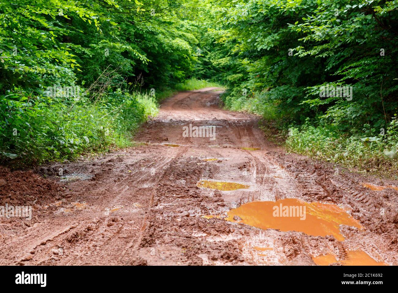 Ländliche Feldstraße Mit Pfützen Nach Regen Stockfotografie - Alamy