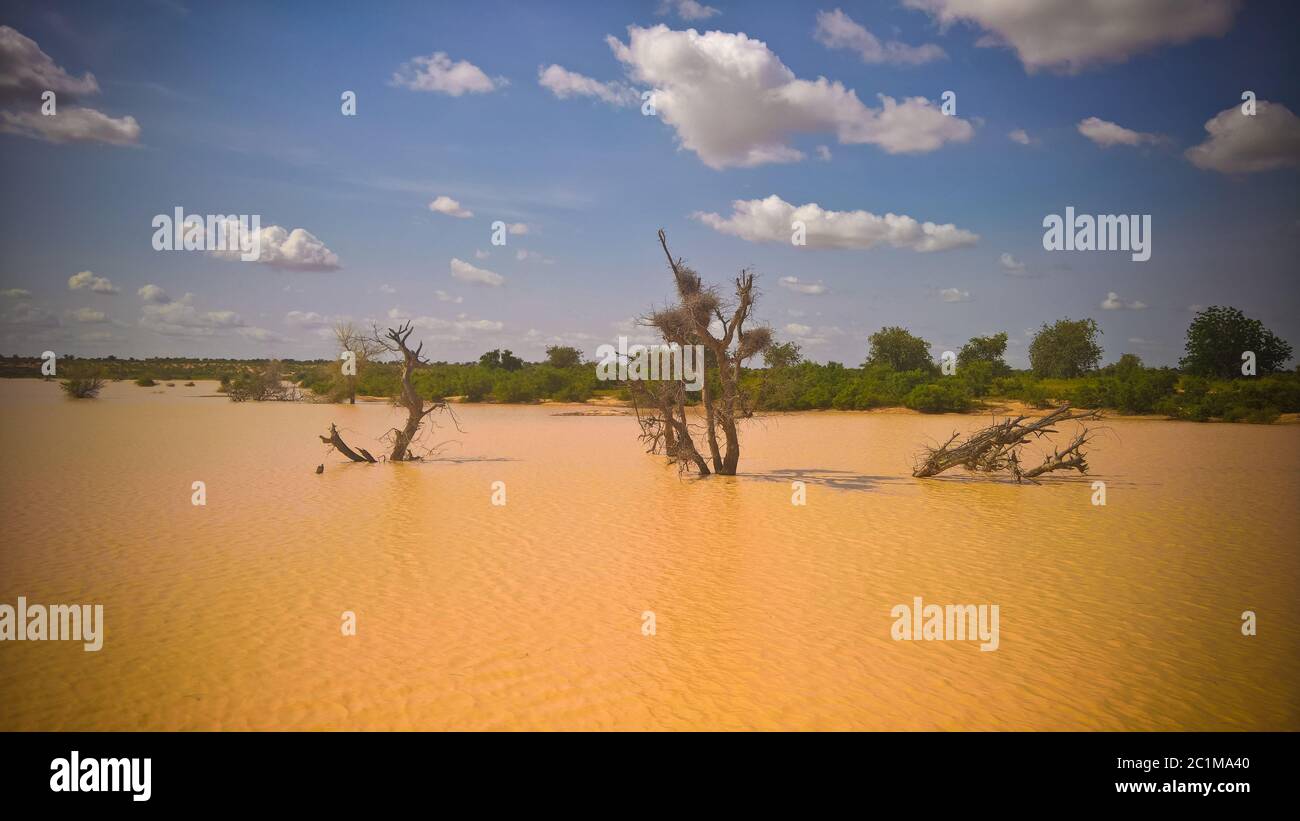 Panorama-Landschaft Blick auf sahel und Oase Dogon Tabki mit ...