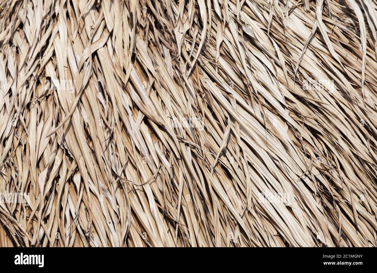 Thatch Roof Texture Stockfotos und -bilder Kaufen - Alamy