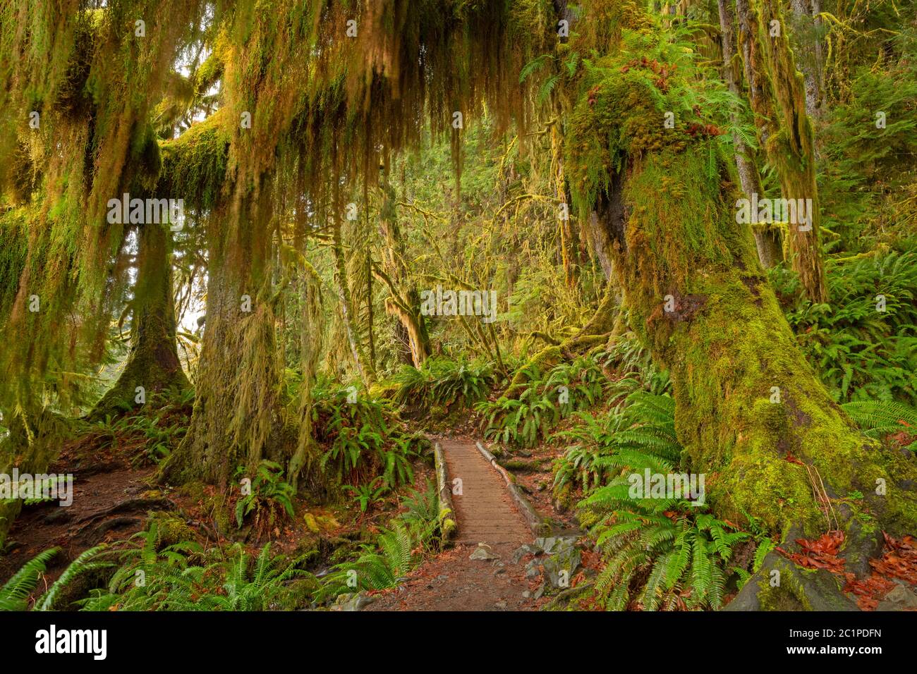 Moosbach trail -Fotos und -Bildmaterial in hoher Auflösung – Alamy
