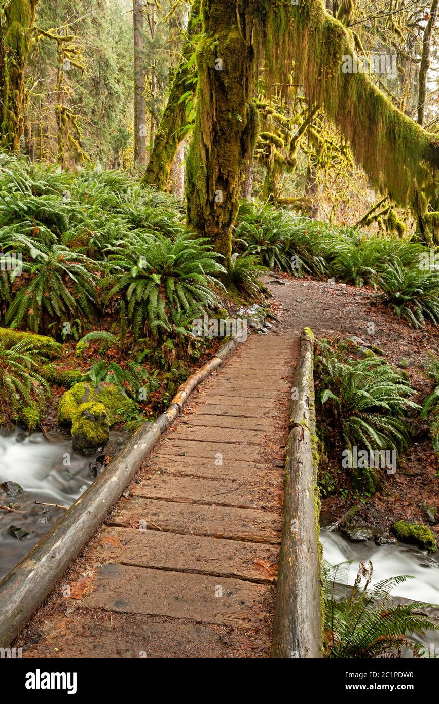 Moosbach trail -Fotos und -Bildmaterial in hoher Auflösung – Alamy