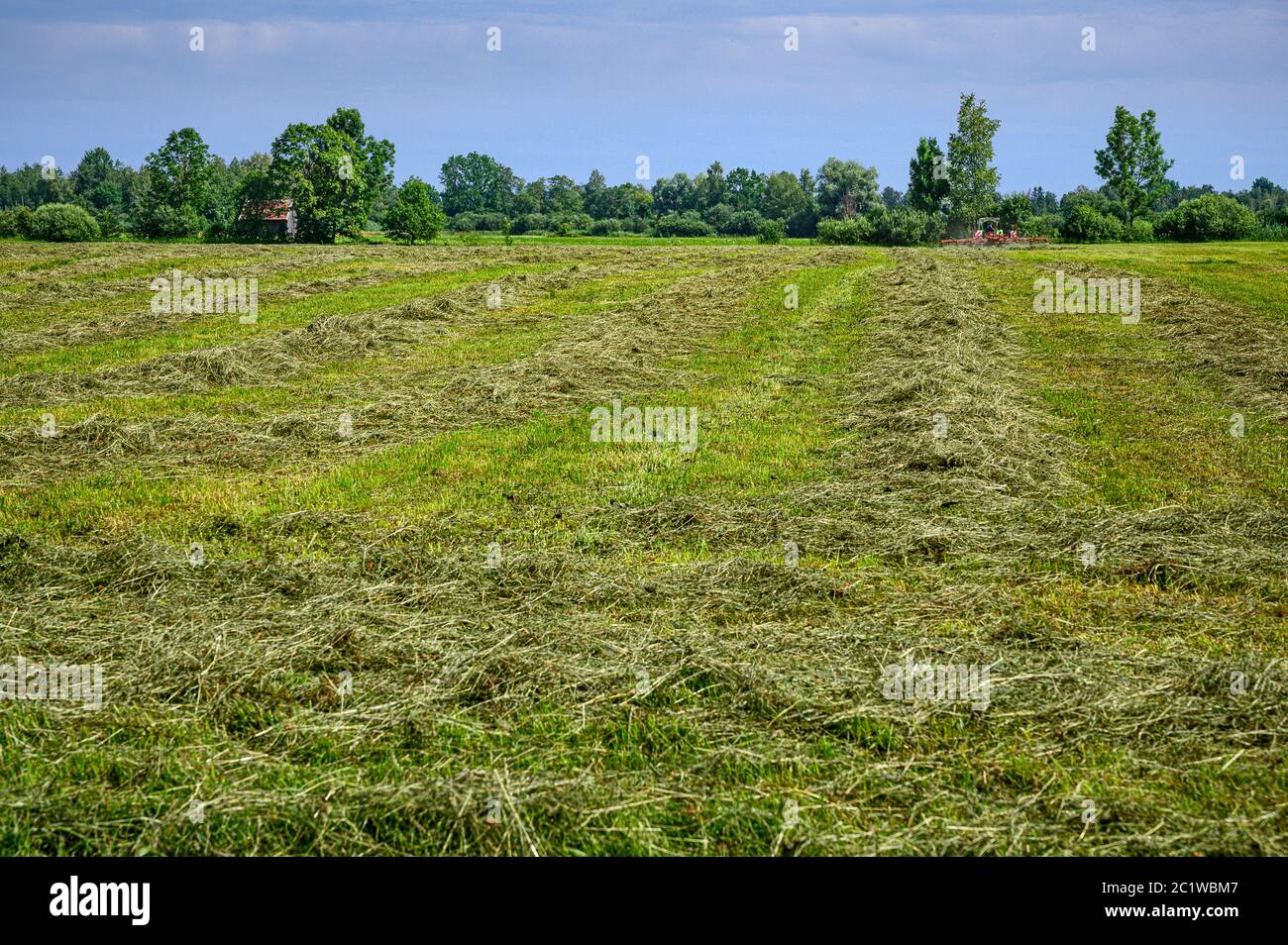 Heuernte bayern -Fotos und -Bildmaterial in hoher Auflösung – Alamy