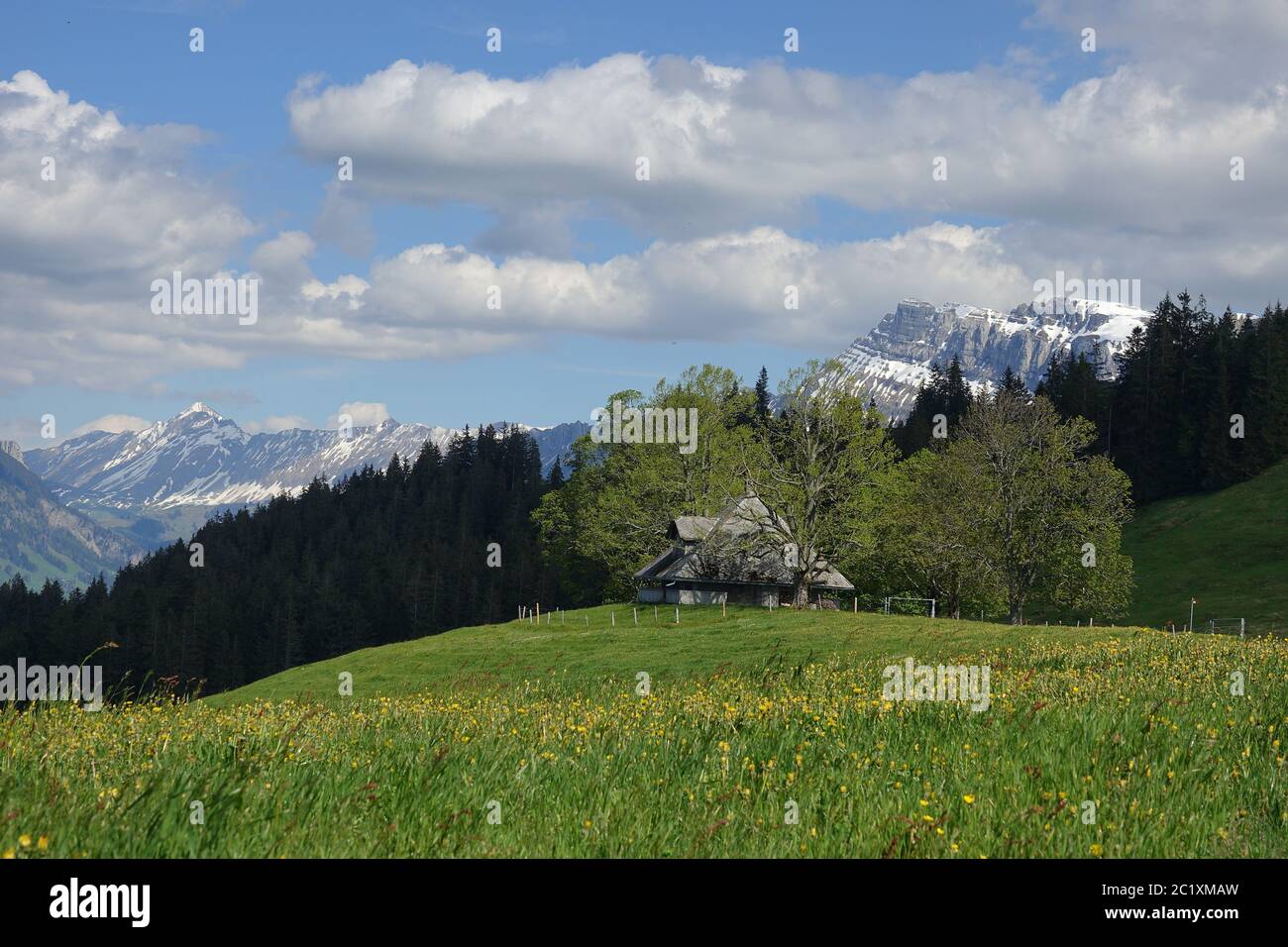 Landschaft im Emmental / Schweiz mit Bergen und Almwiesen ...