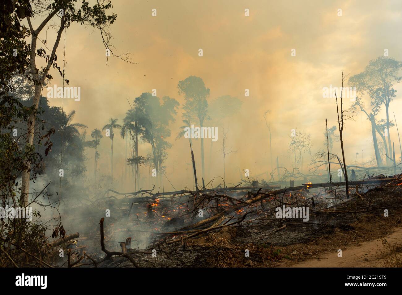 Regenwald Amazonas Feuer Stockfotos und -bilder Kaufen - Alamy