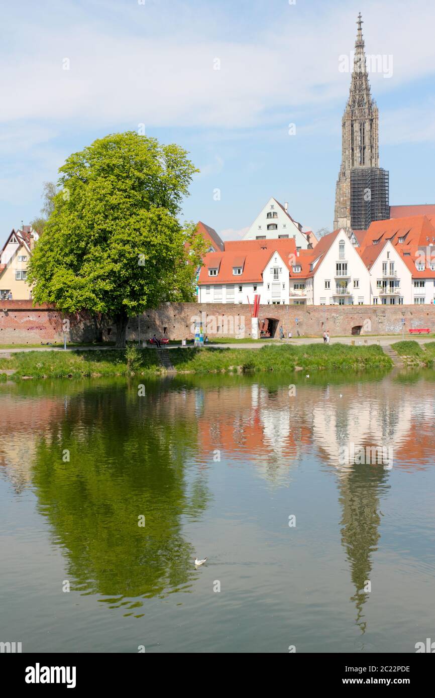 Ulm cathedral -Fotos und -Bildmaterial in hoher Auflösung – Alamy