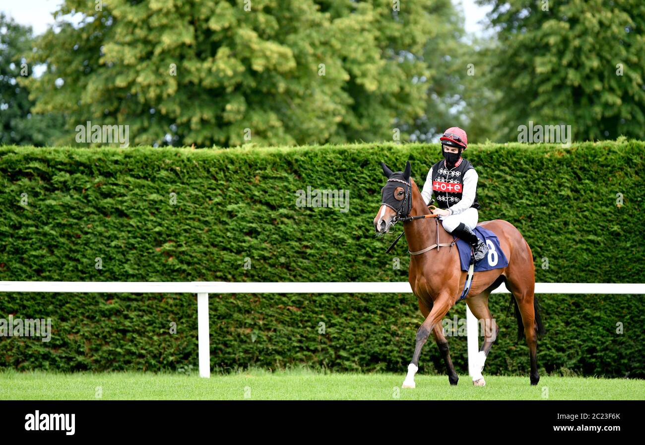 Ein Tag mit Jockey Adam McNamara geht zum Start auf der Windsor ...