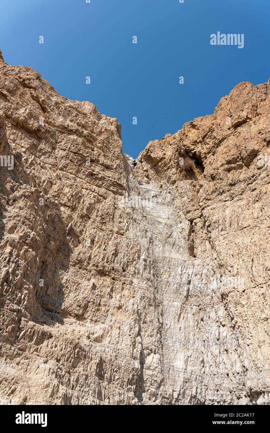 Weiblicher nubischer steinbock -Fotos und -Bildmaterial in hoher Auflösung – Alamy