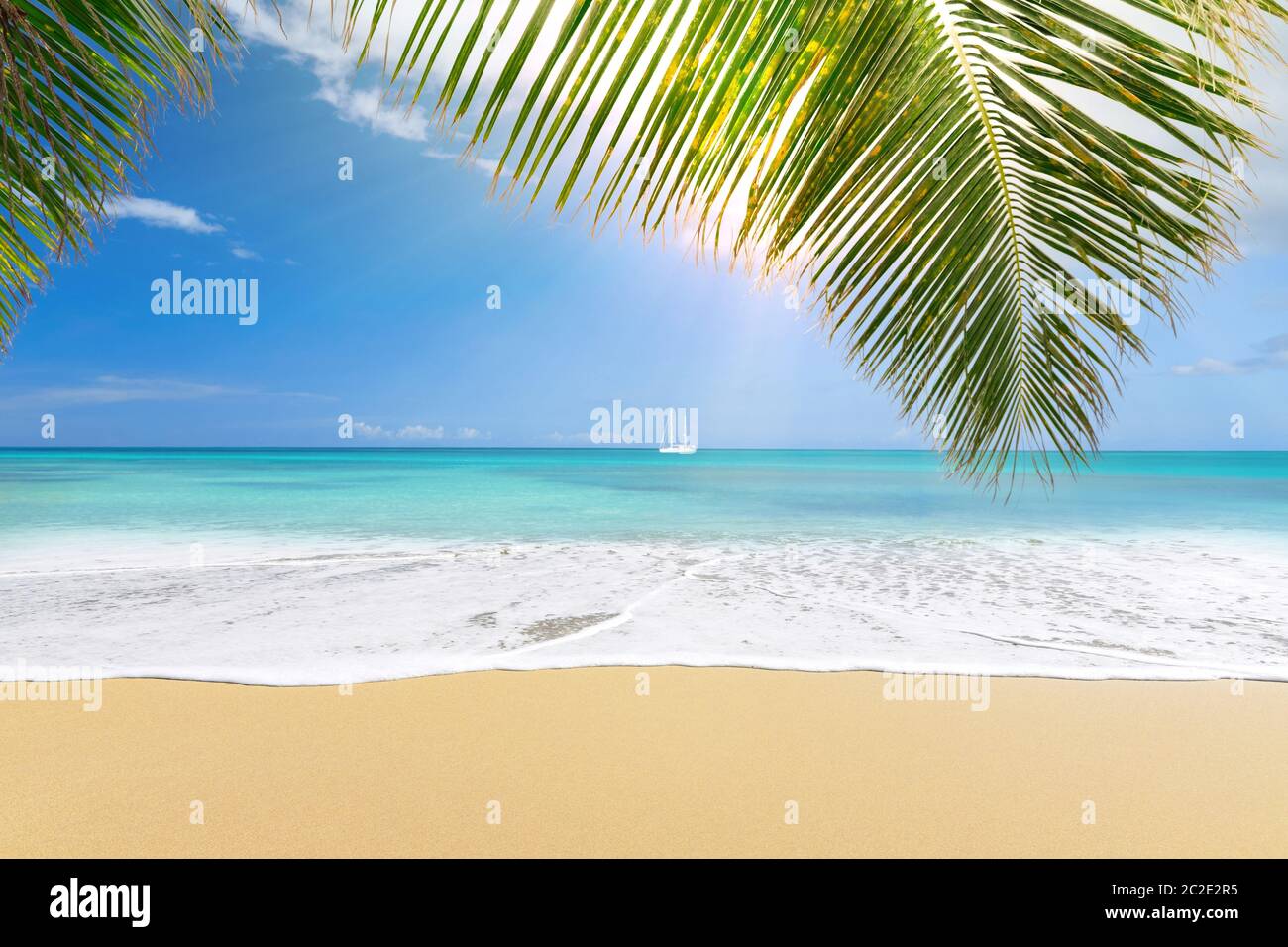 Strand und palmen -Fotos und -Bildmaterial in hoher Auflösung – Alamy