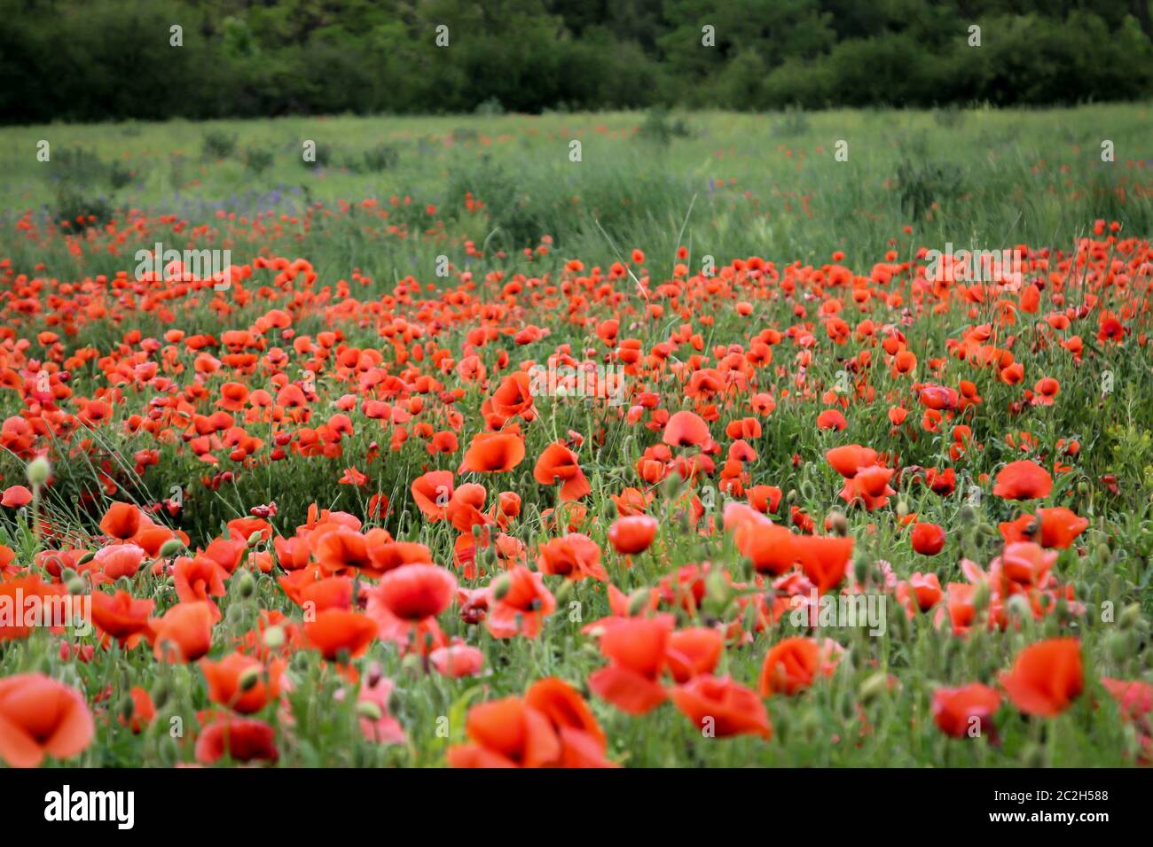 Ackerbau ackerbau anbauen anbauen anbau anbauen anbauen anbauen anbauen anbauen anbauen anbauen ...