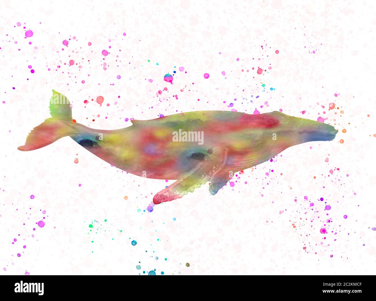 Aquarell wal -Fotos und -Bildmaterial in hoher Auflösung – Alamy