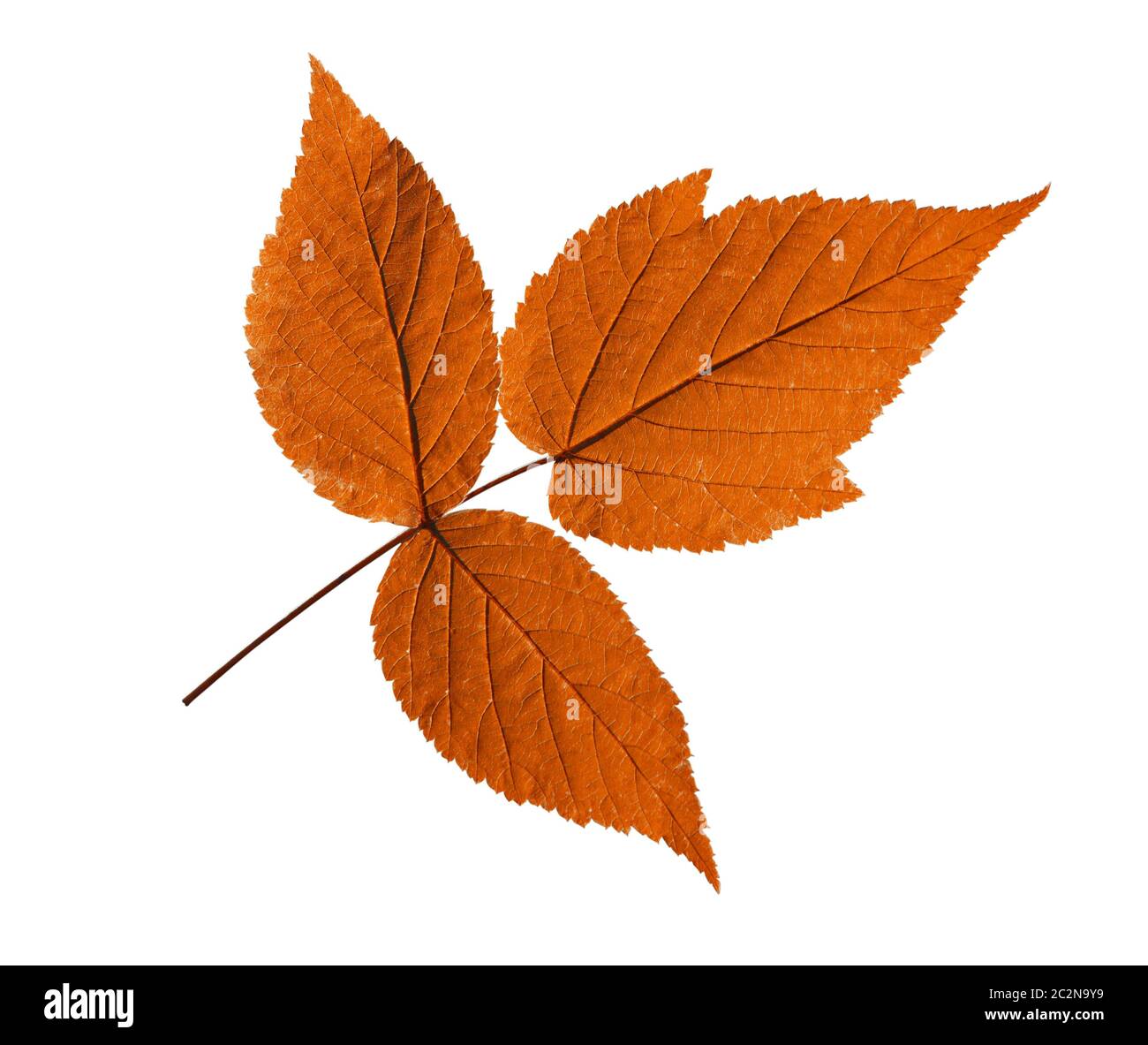 Asche design -Fotos und -Bildmaterial in hoher Auflösung – Alamy