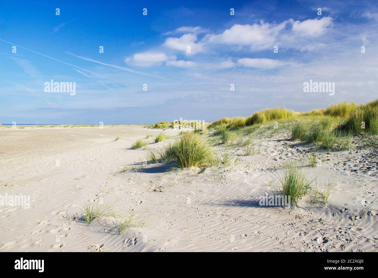 Renesse holland -Fotos und -Bildmaterial in hoher Auflösung – Alamy