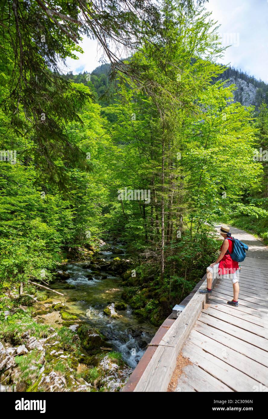 Wanderung von der Rettenbachalm durch das Rettenbachtal zur Blaa Alm ...