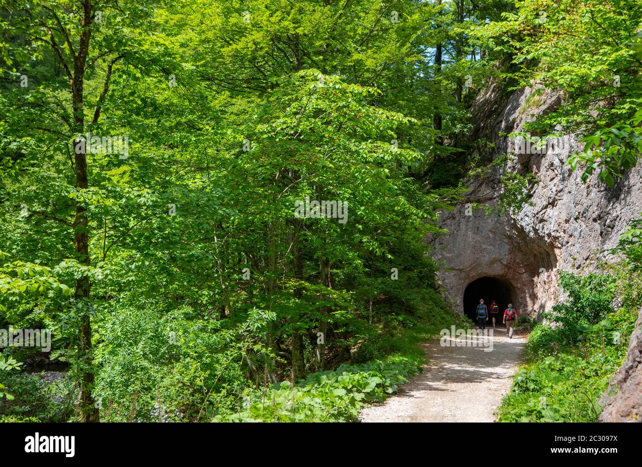 Wanderung von der Rettenbachalm durch das Rettenbachtal zur Blaa Alm ...
