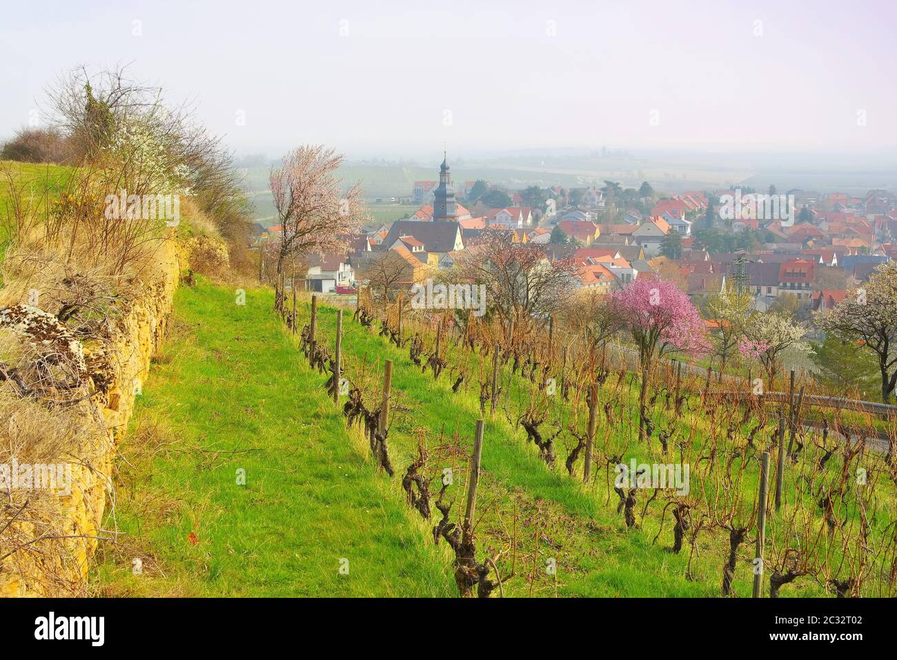 Kallstadt, germany -Fotos und -Bildmaterial in hoher Auflösung – Alamy