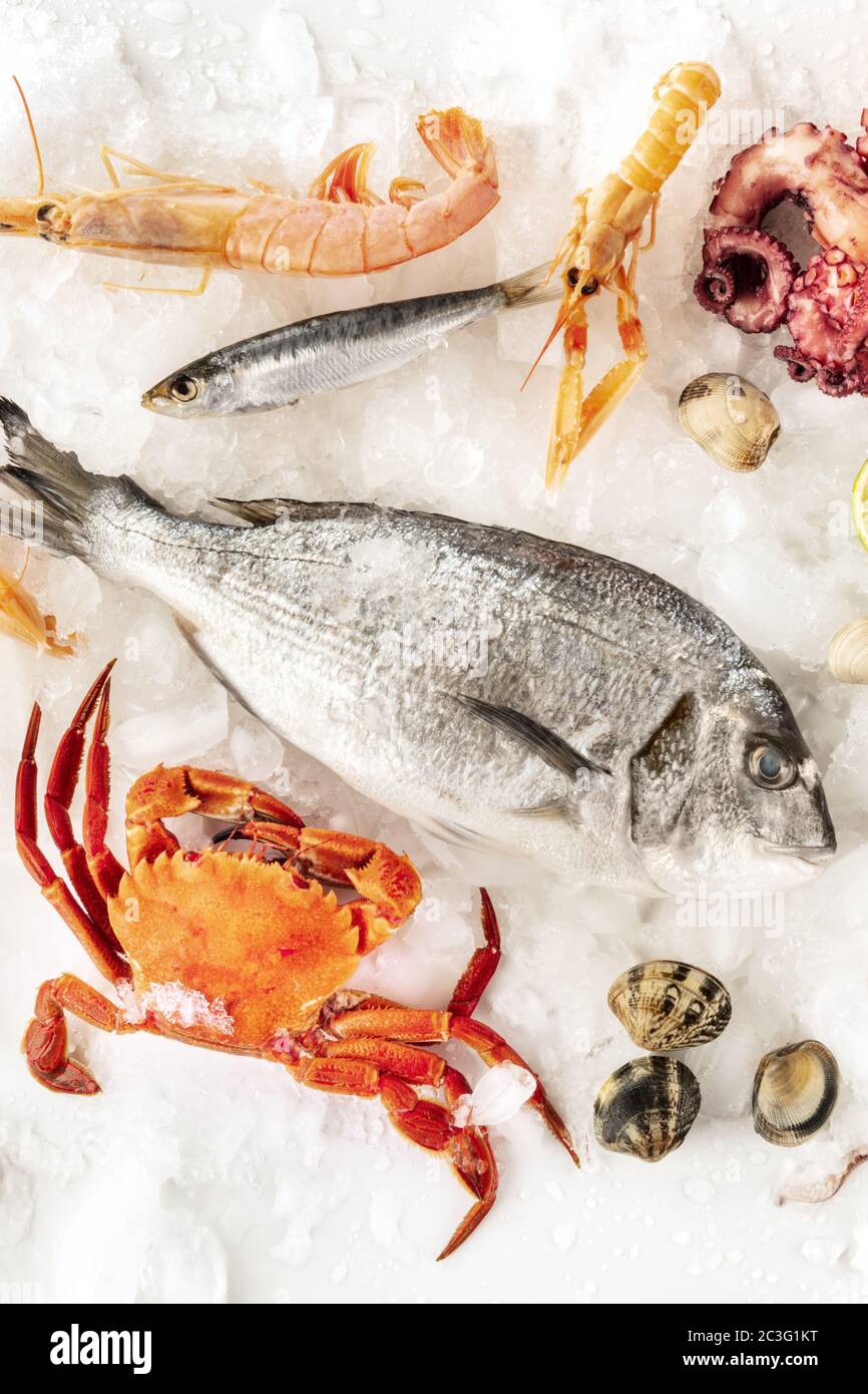 Fisch und Schalentiere Stockfotos und -bilder Kaufen - Alamy