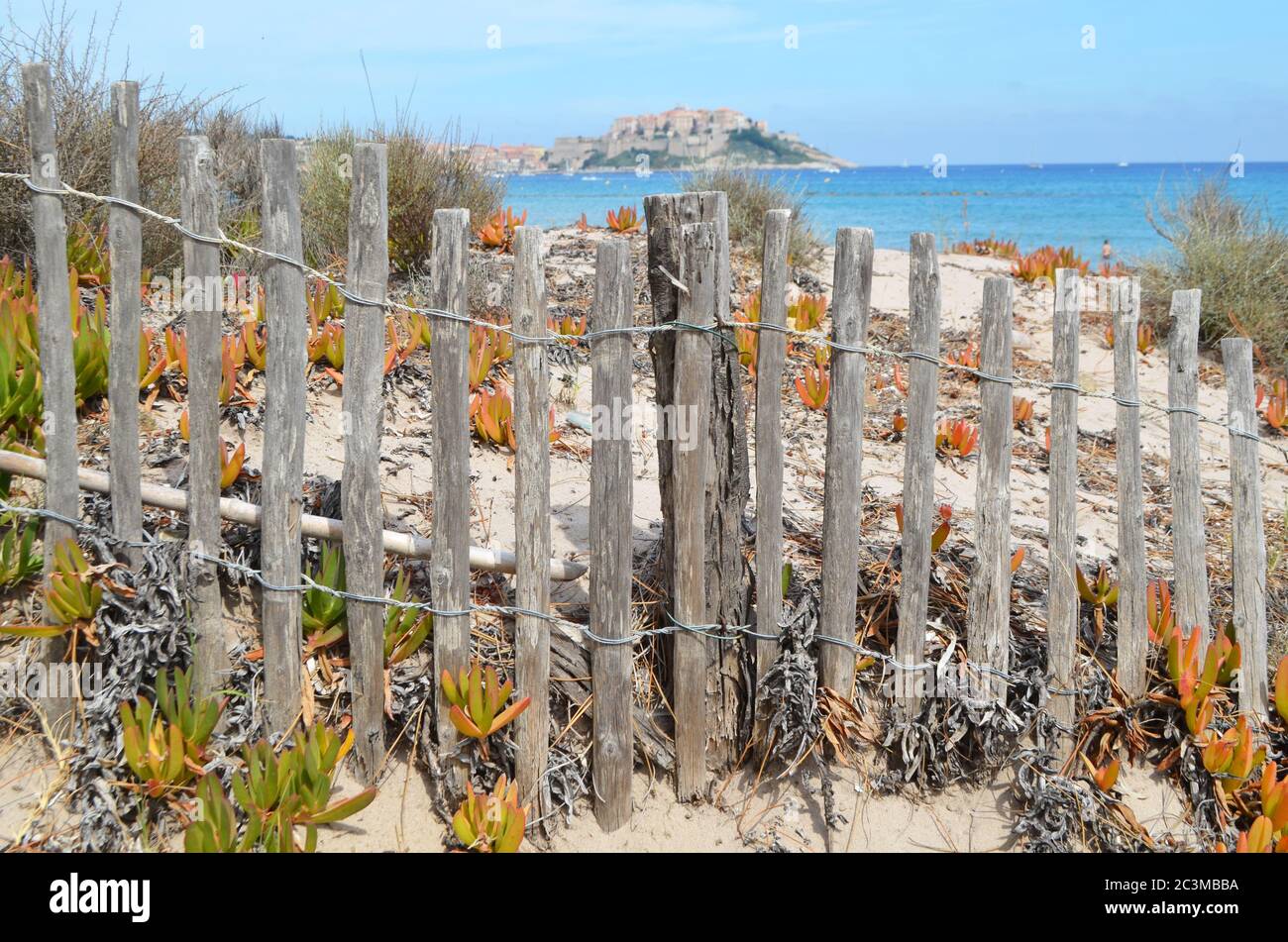 Calvi beach corsica -Fotos und -Bildmaterial in hoher Auflösung – Alamy