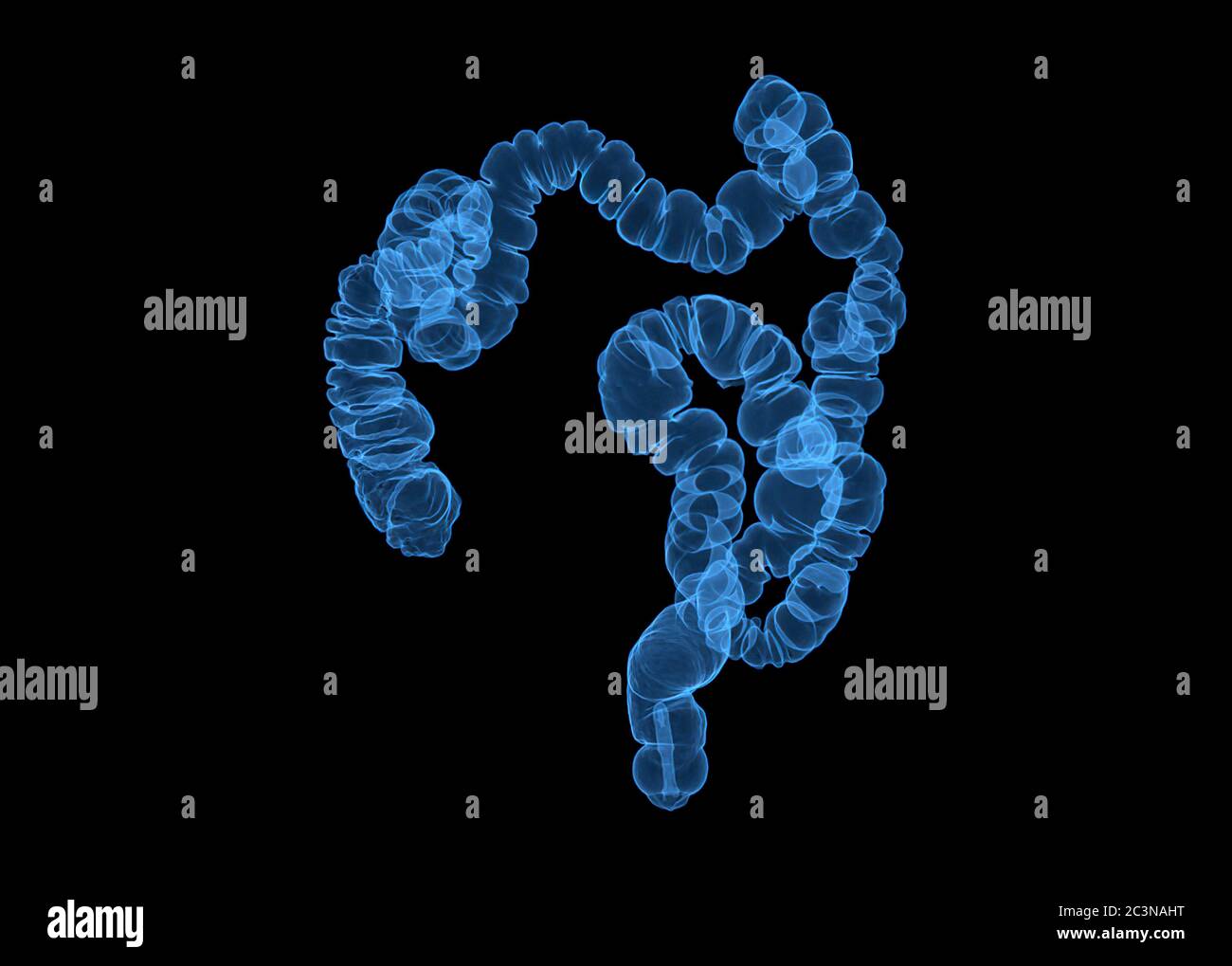 Human anus -Fotos und -Bildmaterial in hoher Auflösung – Alamy